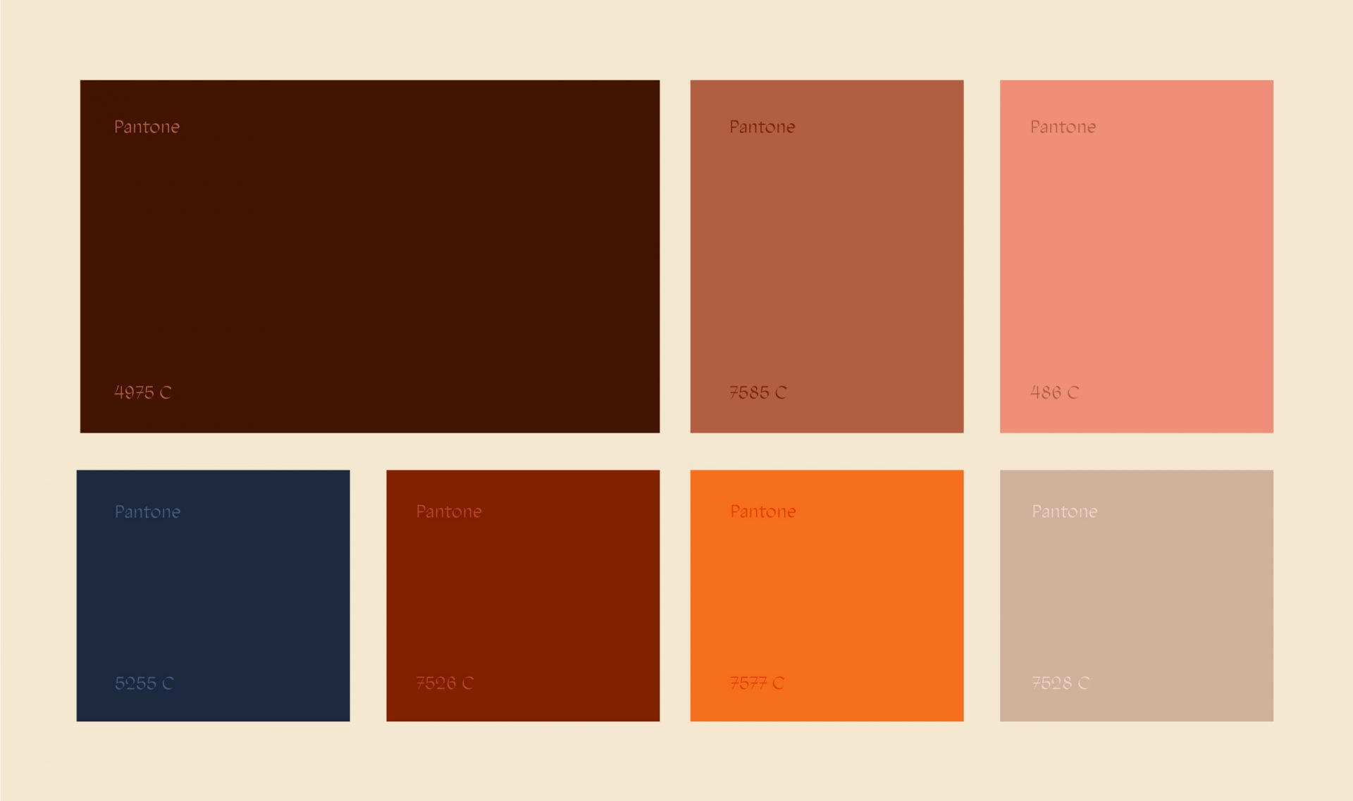 Chocolate Dorado - Marka Works Branding Agency